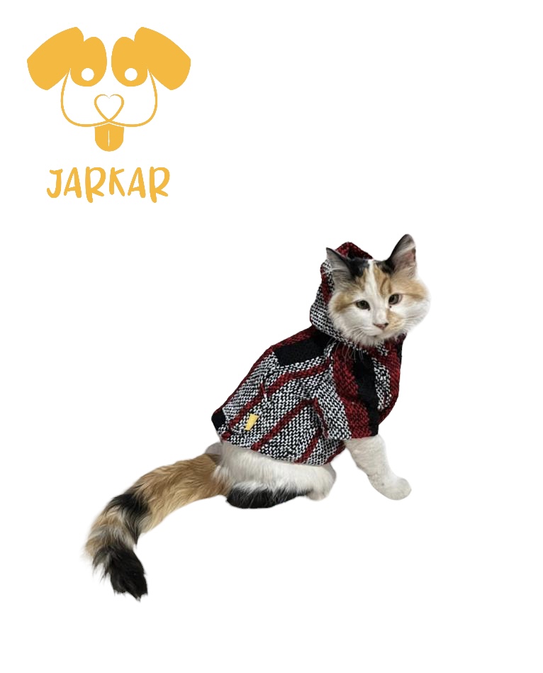 JERGA PARA GATO – Jarkar