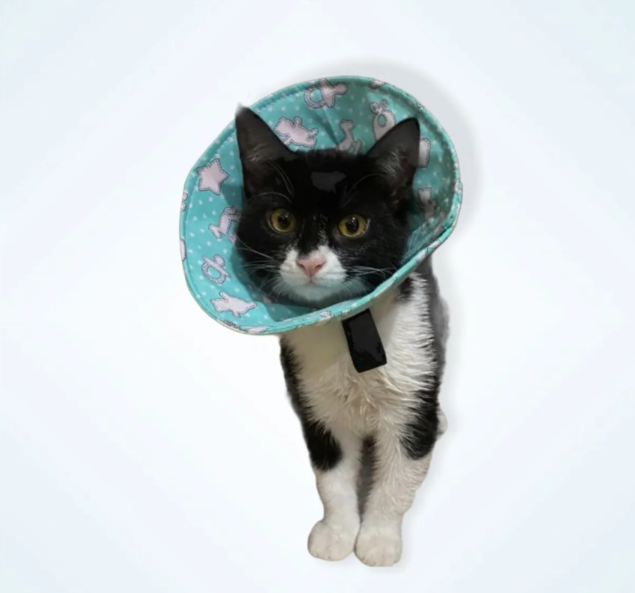 COLLAR ISABELINO – Jarkar