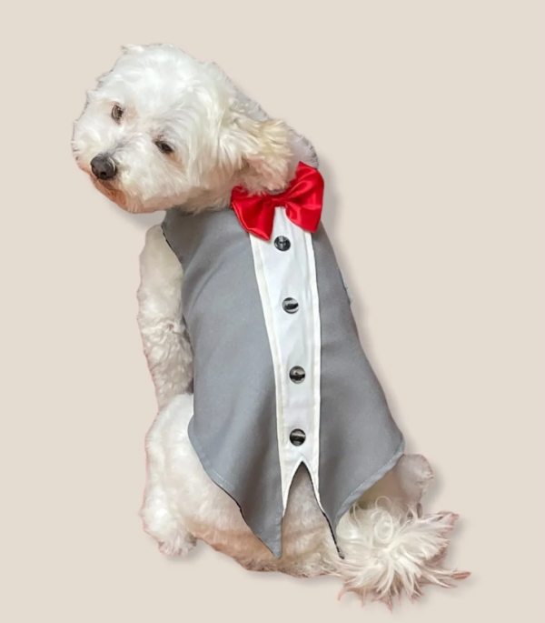 PECHERA SMOKING PARA PERRO – Jarkar