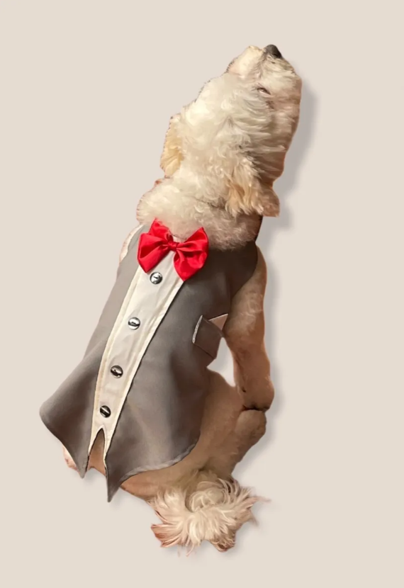 PECHERA SMOKING PARA PERRO – Jarkar