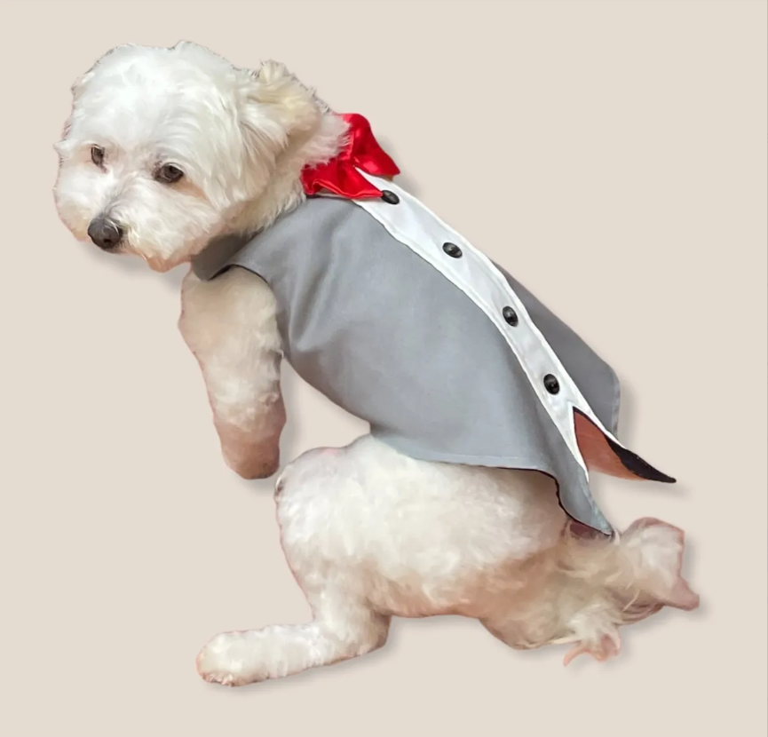 PECHERA SMOKING PARA PERRO – Jarkar